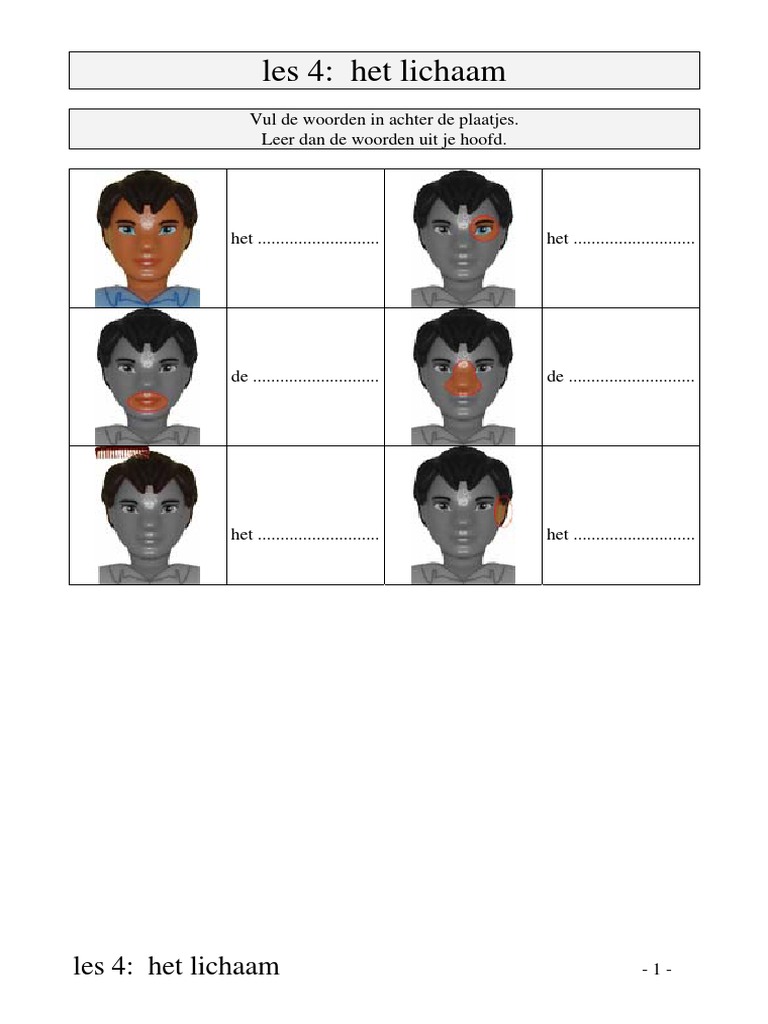 Les4 Het Lichaam | PDF