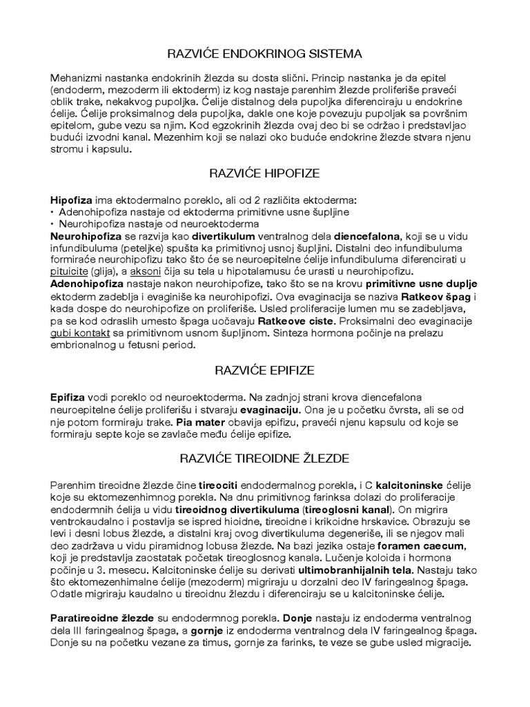 Razvice Endokrinog Sistema | PDF