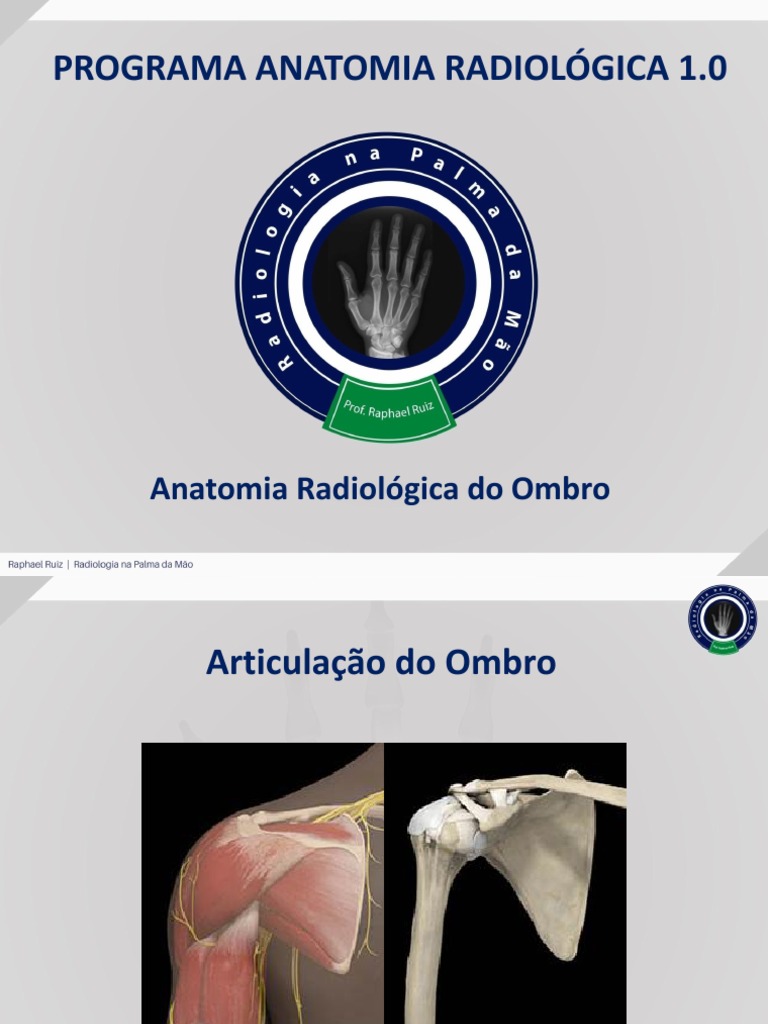 Anatomia Radiológica Do Ombro | PDF