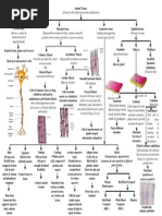 Mind Map | PDF | Cell (Biology) | Cell Membrane