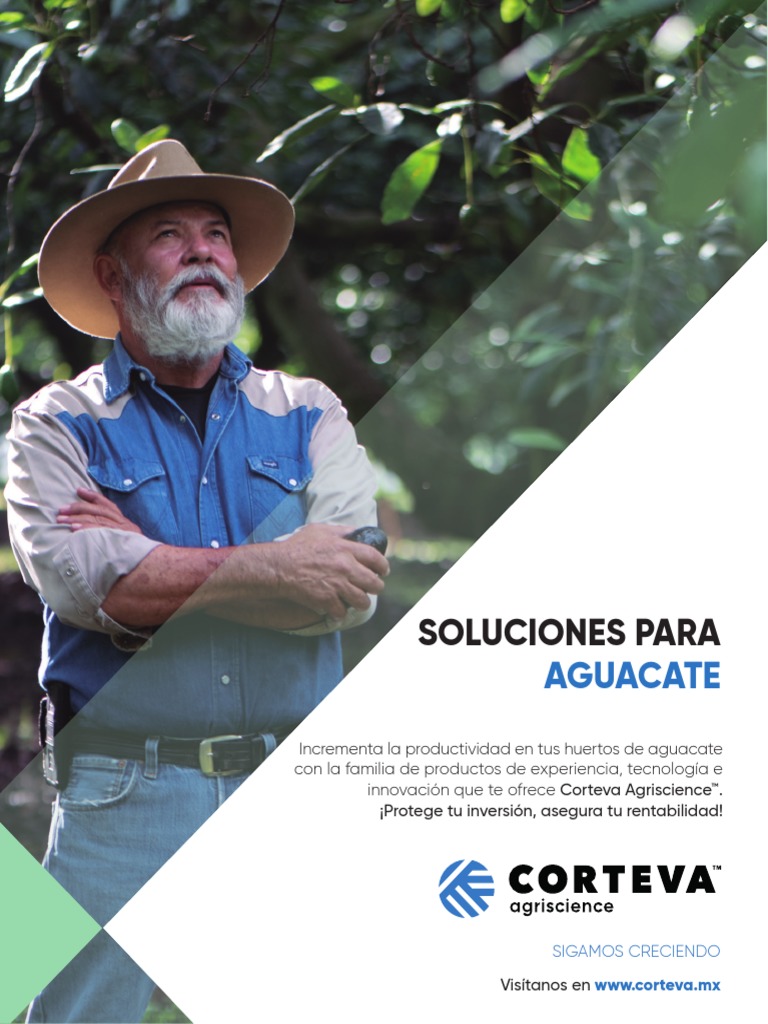 Folleto AGUACATE Toretto | PDF | Insecticida | Plaga (organismo)