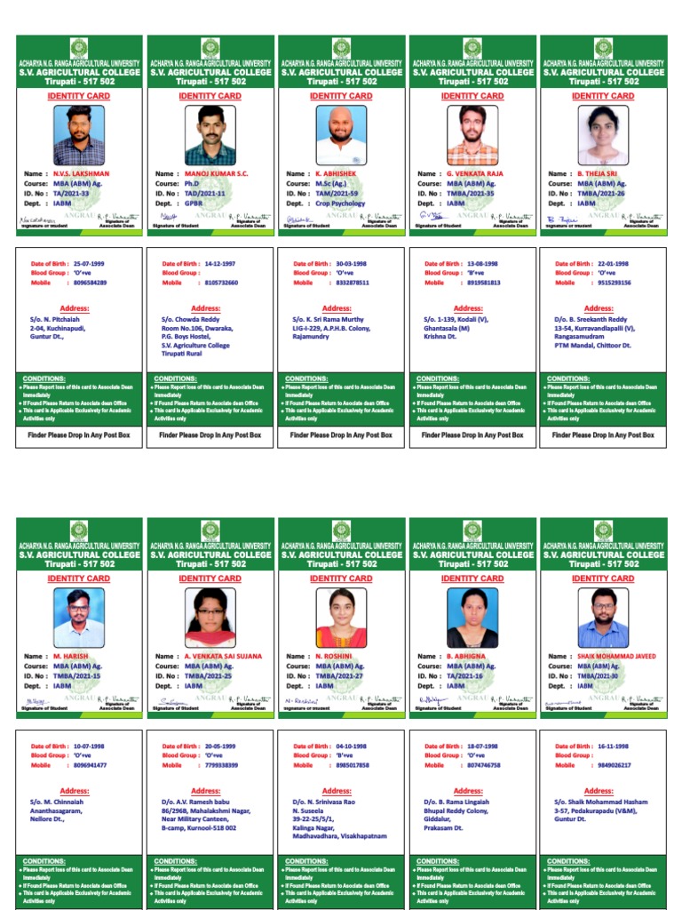 Identity Card Identity Card Identity Card Identity Card Identity Card | PDF