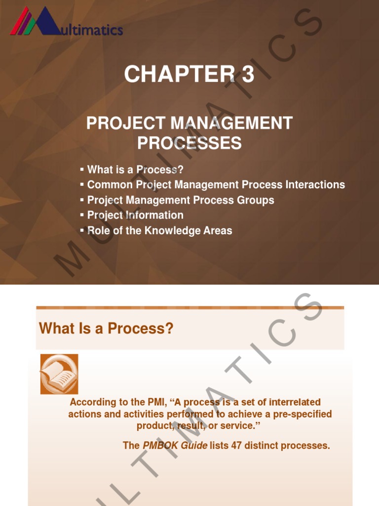 Project Management Processes | Pdf | Project Management | Information