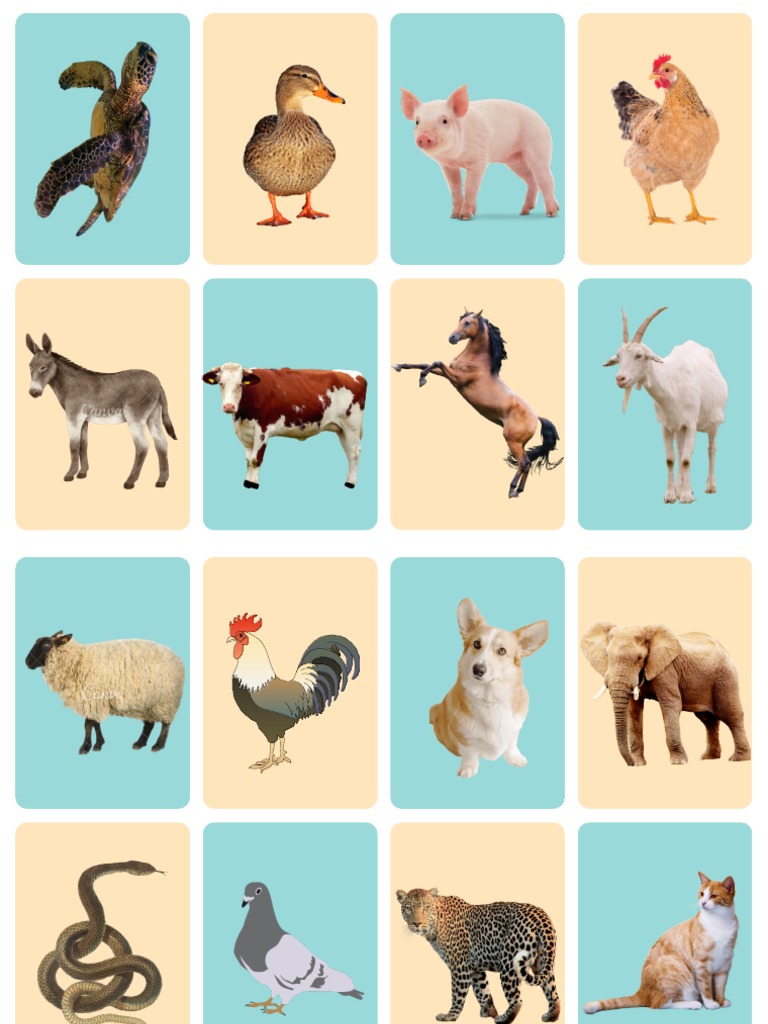 Animais | PDF