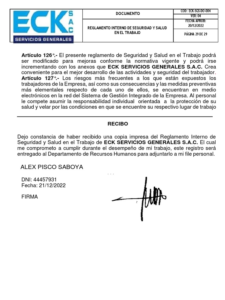 Cargo de Entrega Del RISST ALEX PISCO SABOYA | PDF