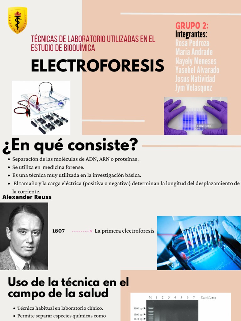 Grupo 2 Electroforesis | PDF