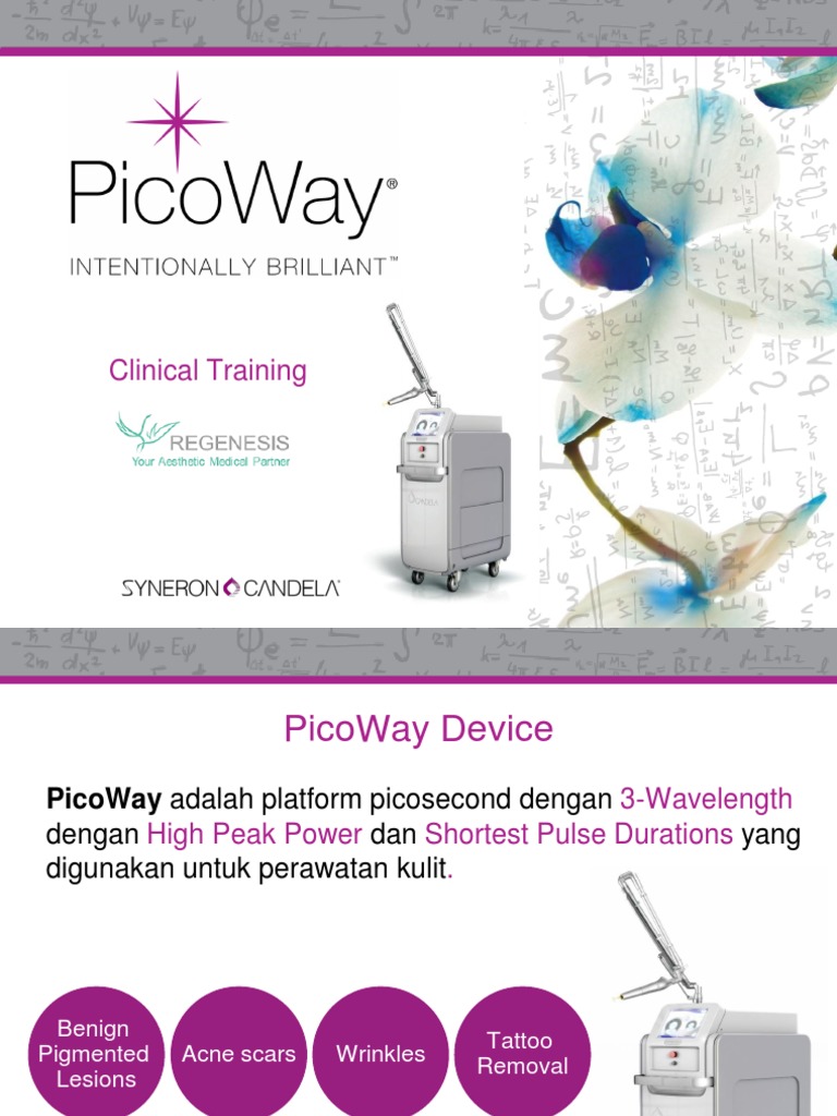 Picoway Clinical Training Indonesia | PDF