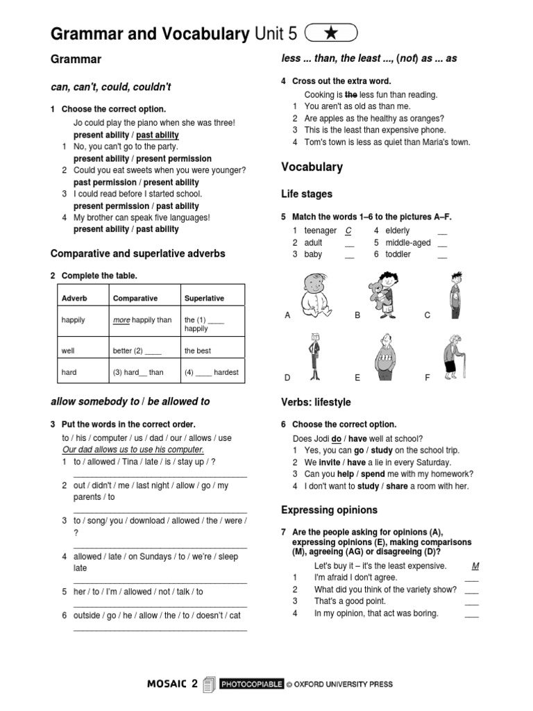 Grammar and Vocabulary Unit 5 | PDF | Carnival | Noun