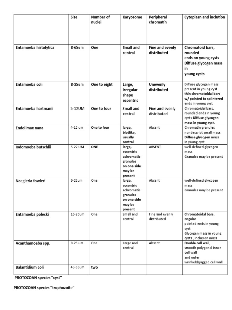 Summary Table of Amoeba | Download Free PDF | Anatomy | Microscopy