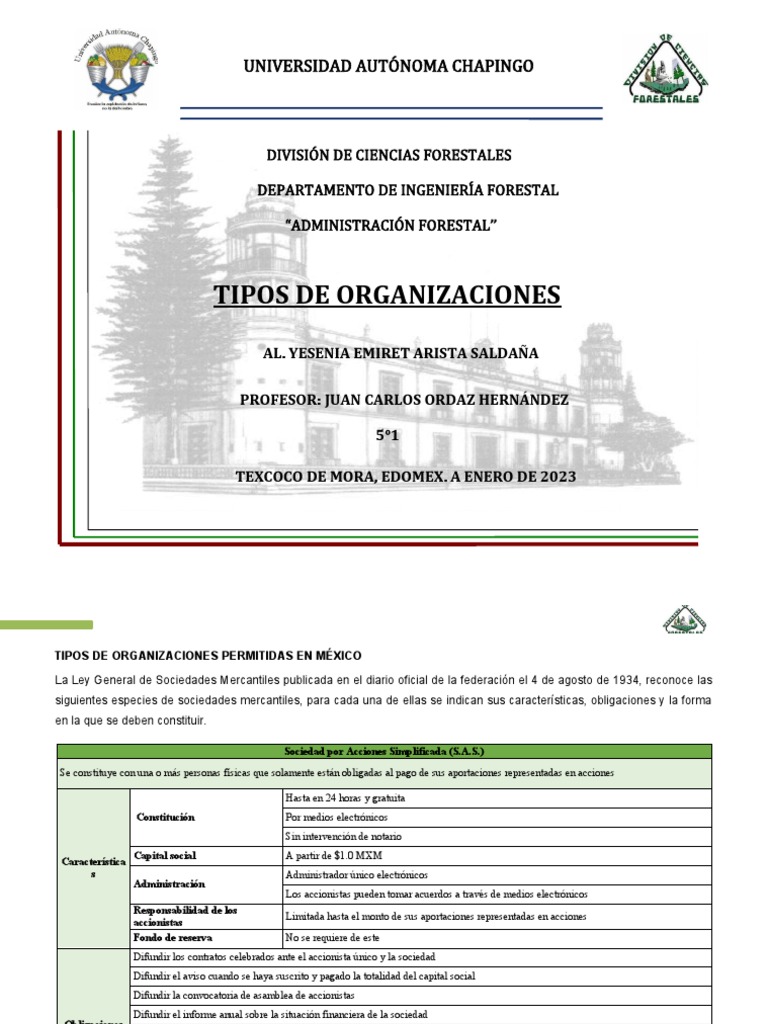 AF - Tipos de Organizaciones - ASYE | PDF | Business | Negocios económicos