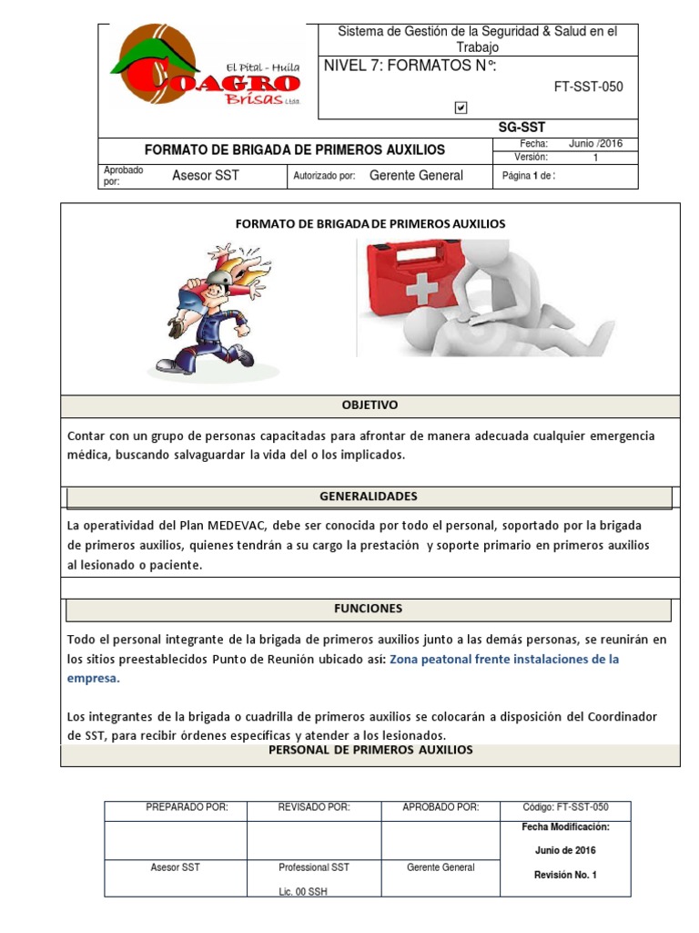 Formato de Brigada de Primeros Auxilios: Nivel 7: Formatos N° | PDF | Primeros auxilios ...