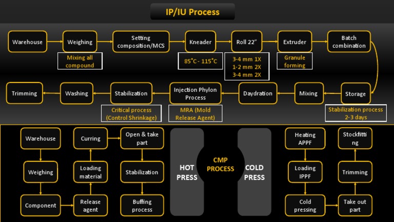 IP & IU Process | PDF