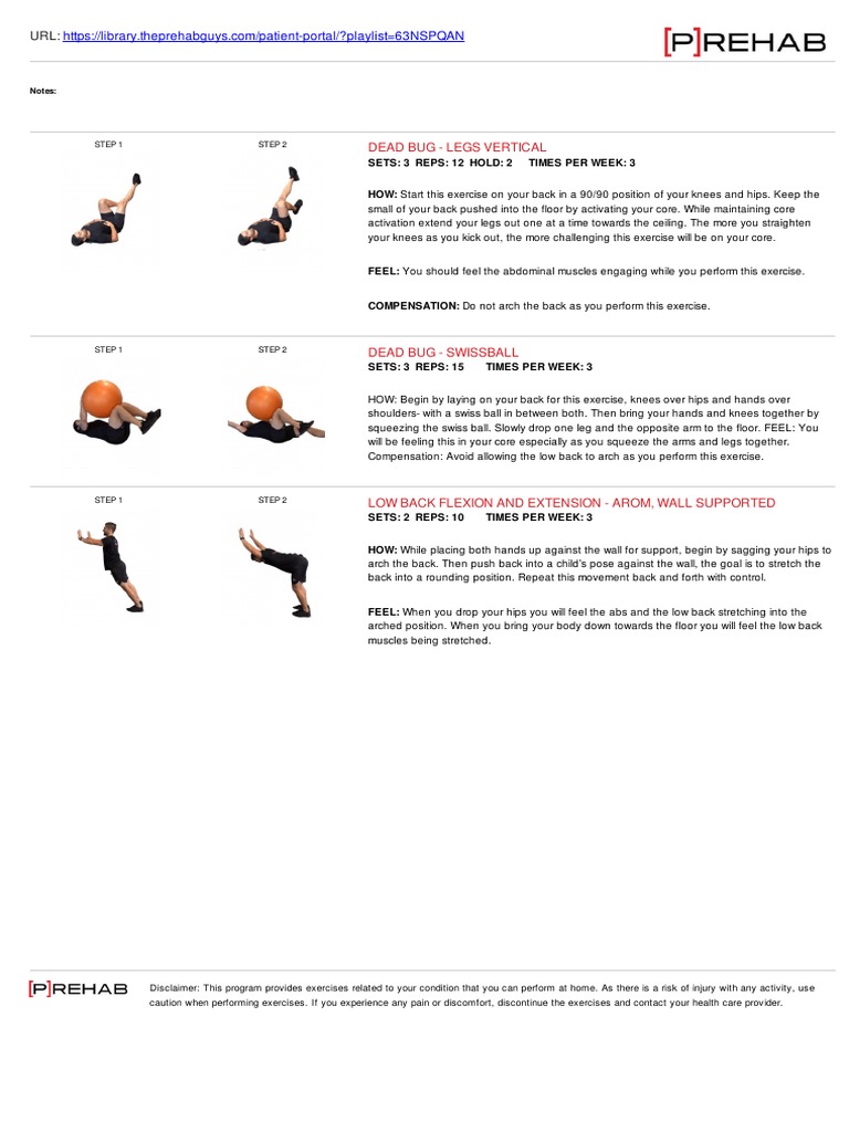 Prehab Guys | PDF | Low Back Pain | Hip