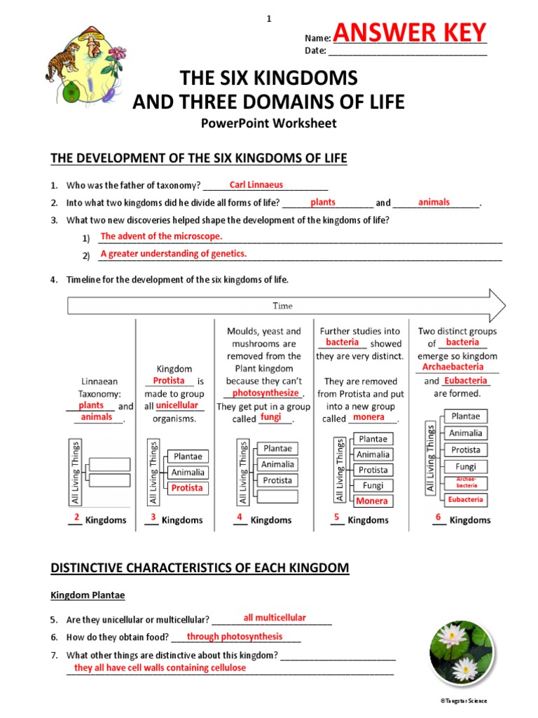 14 - Six Kingdoms and Three Domains of Life - PowerPoint Worksheet ...