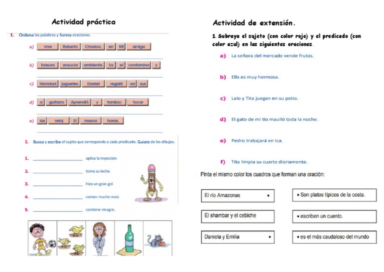Actividad Práctica Actividad de Extensión | PDF