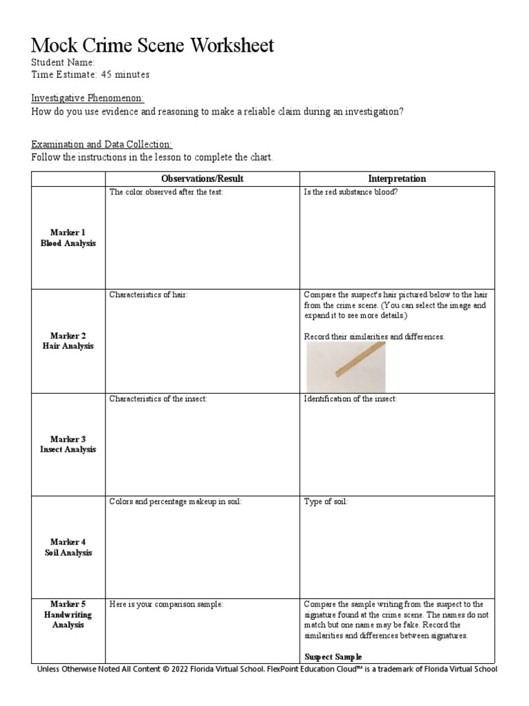 02 07 Mock Crime Scene Worksheet | PDF | Crime Scene | Scientific Method