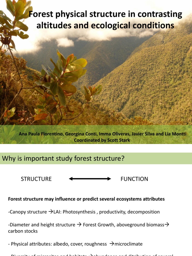 Forest Physical Structure in Contrasting Altitudes and Ecological ...