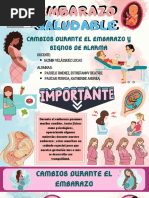 Carnet Control Prenatal | PDF | El embarazo | Partería