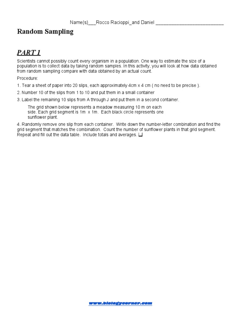 Random Sampling Sunflower Activity | PDF | Sampling (Statistics ...