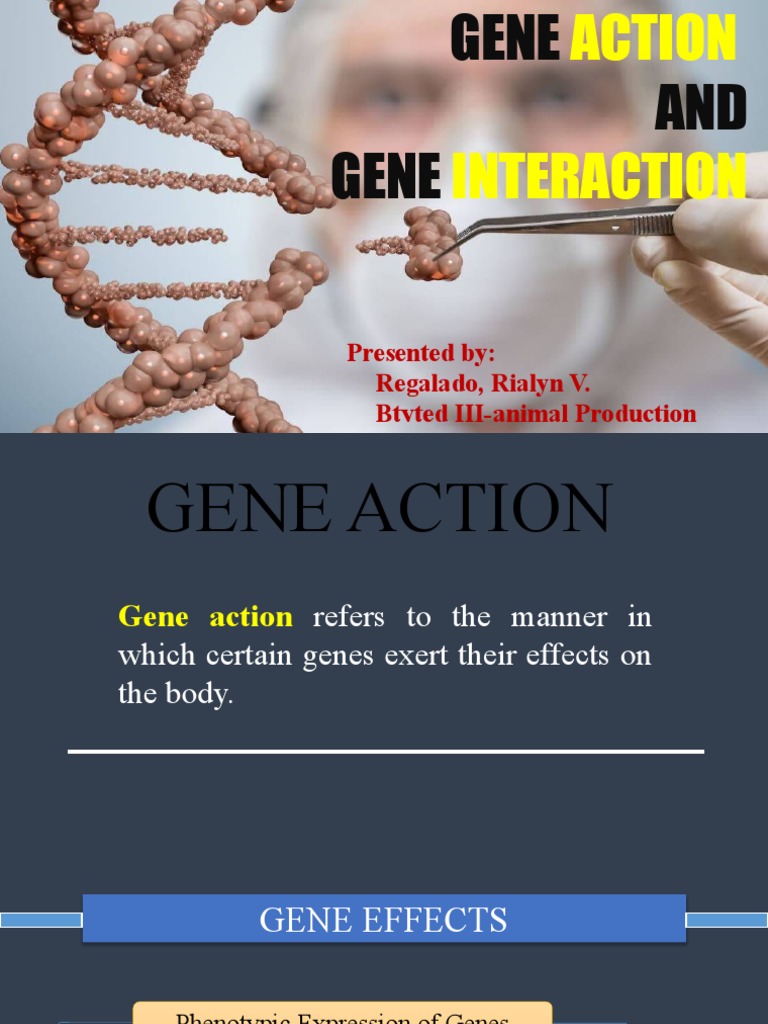 Gene Action and Gene Interaction | PDF | Dominance (Genetics) | Genotype