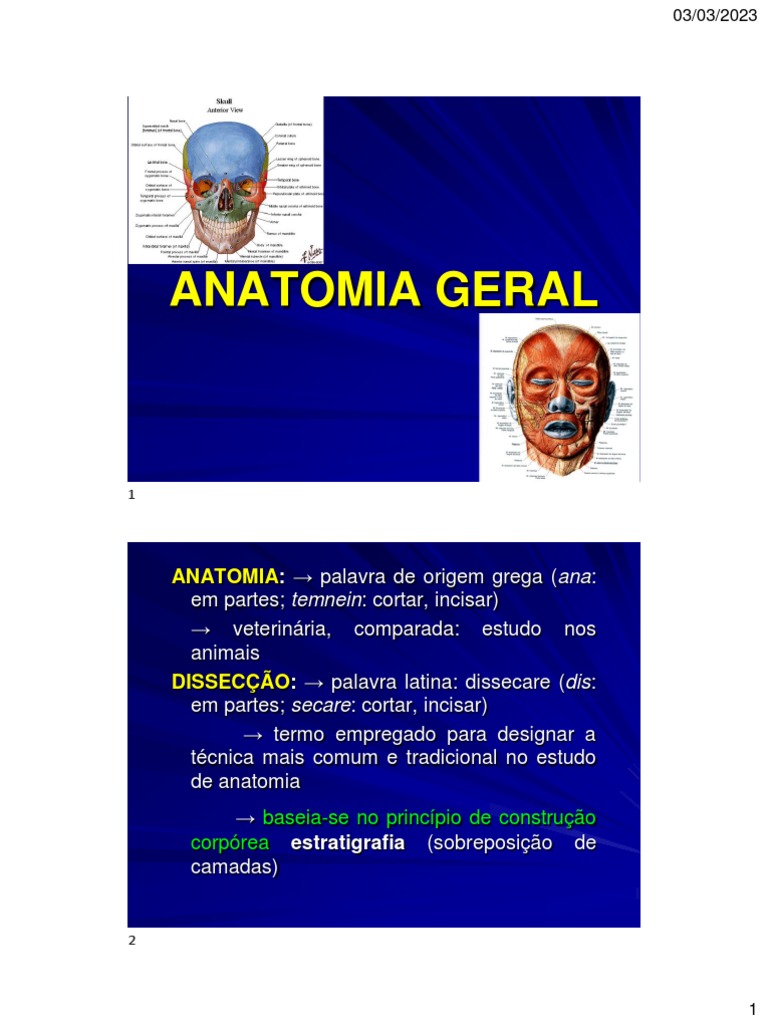Anatomia Geral Introdução Pdf Anatomia Tecido Biologia
