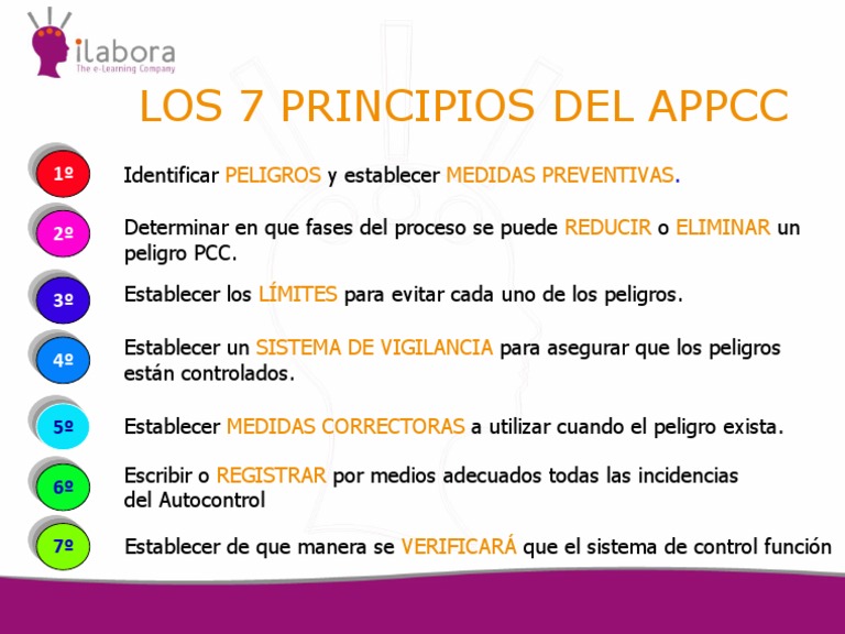 Los 7 Principios | PDF