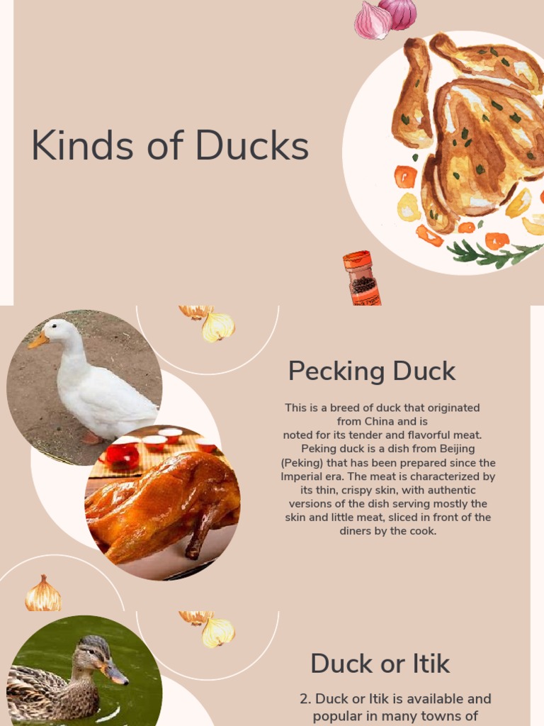 A Comparison of Different Types of Ducks: Peking Duck, Itik Duck, and ...