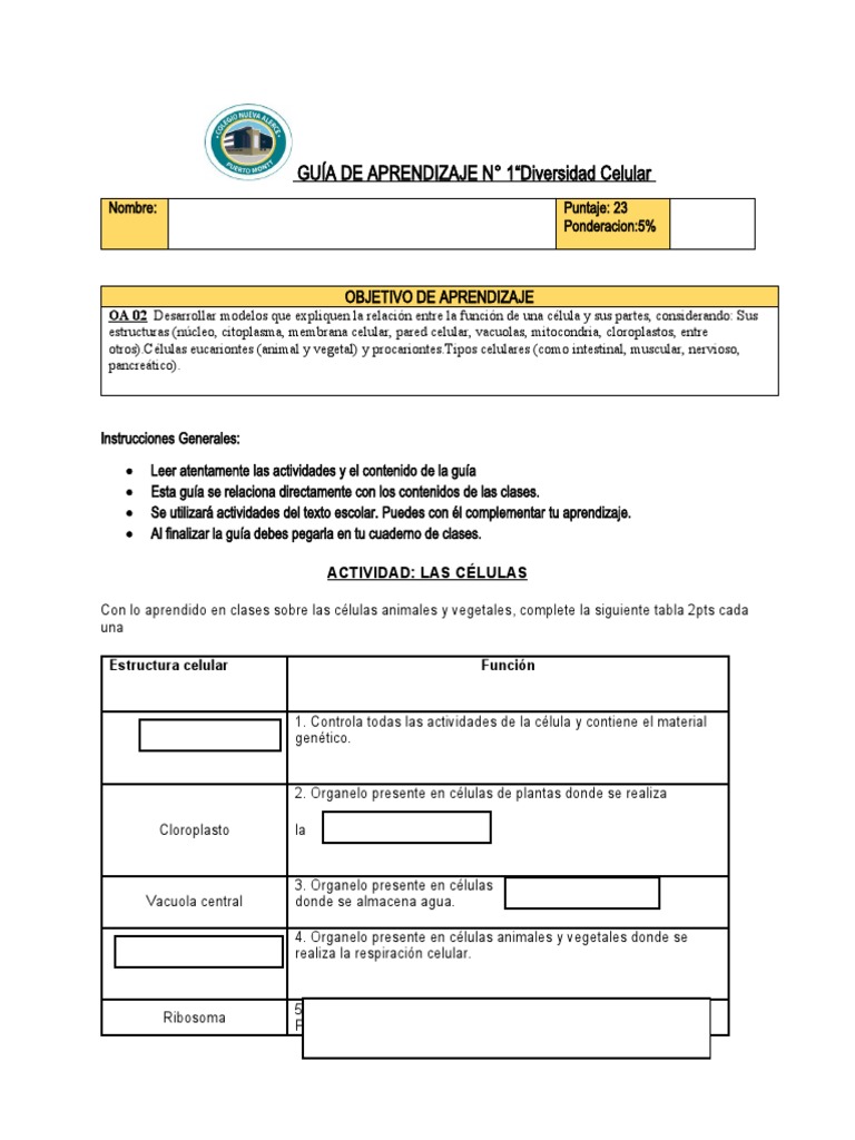 Guía de Aprendizaje N 1 | PDF | Biología Celular) | Citoplasma