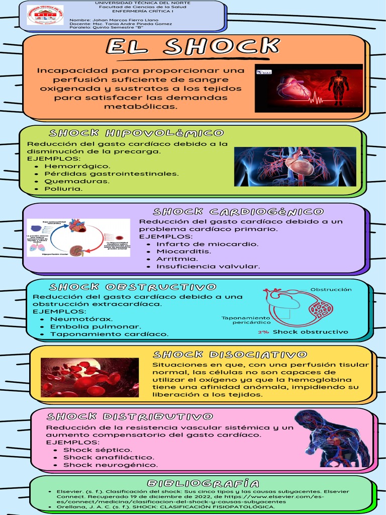 El Shock y Su Clasificación | PDF