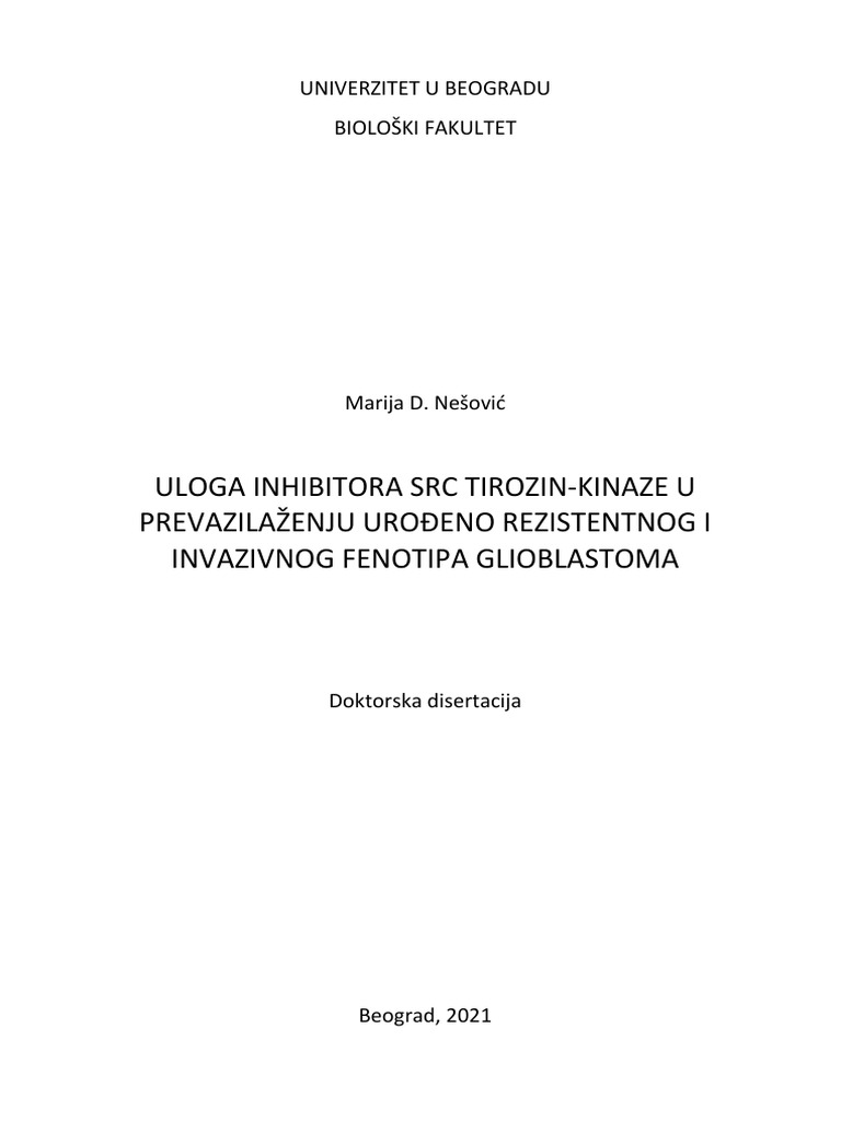 Marija Nesovic Dissertation | PDF