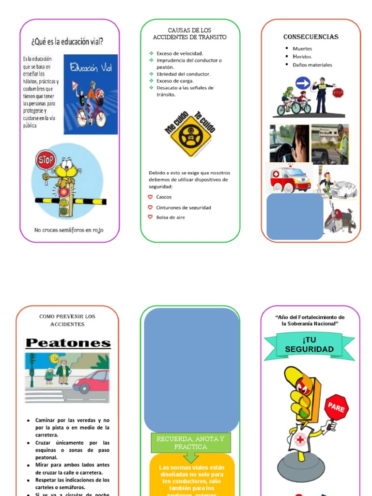 Seguridad Vial | PDF