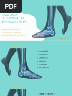 11 - Região Poplítea | PDF | Joelho | Anatomia humana