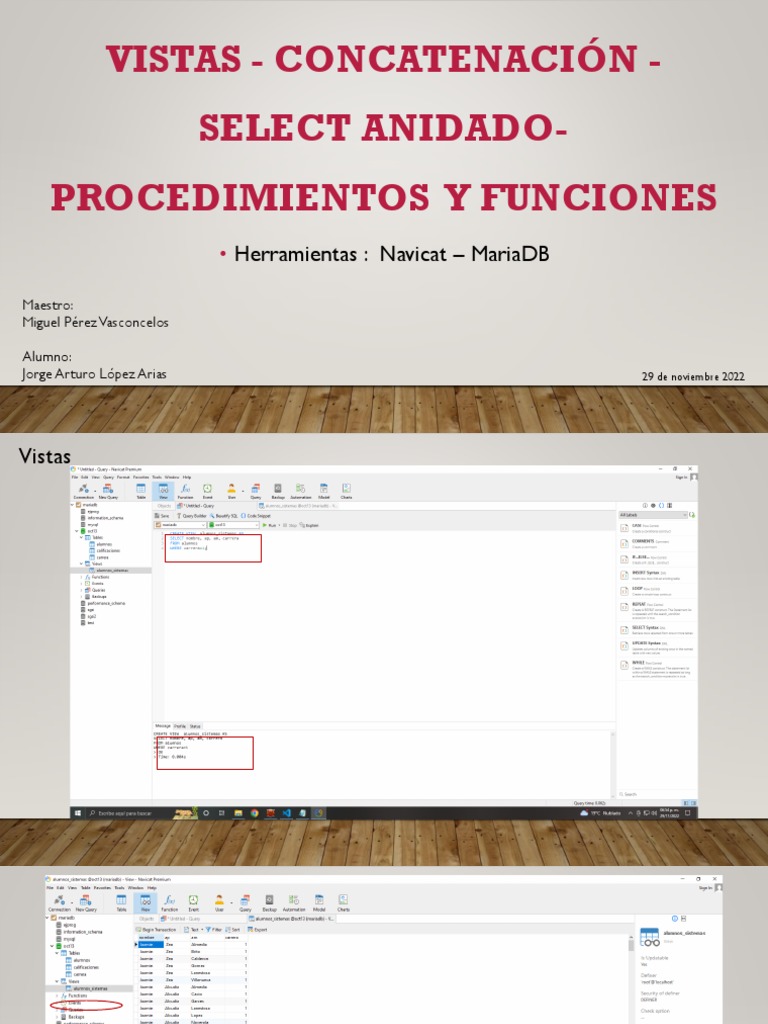 Vistas - Concatenación - Select Anidado-Procedimientos Y Funciones | PDF