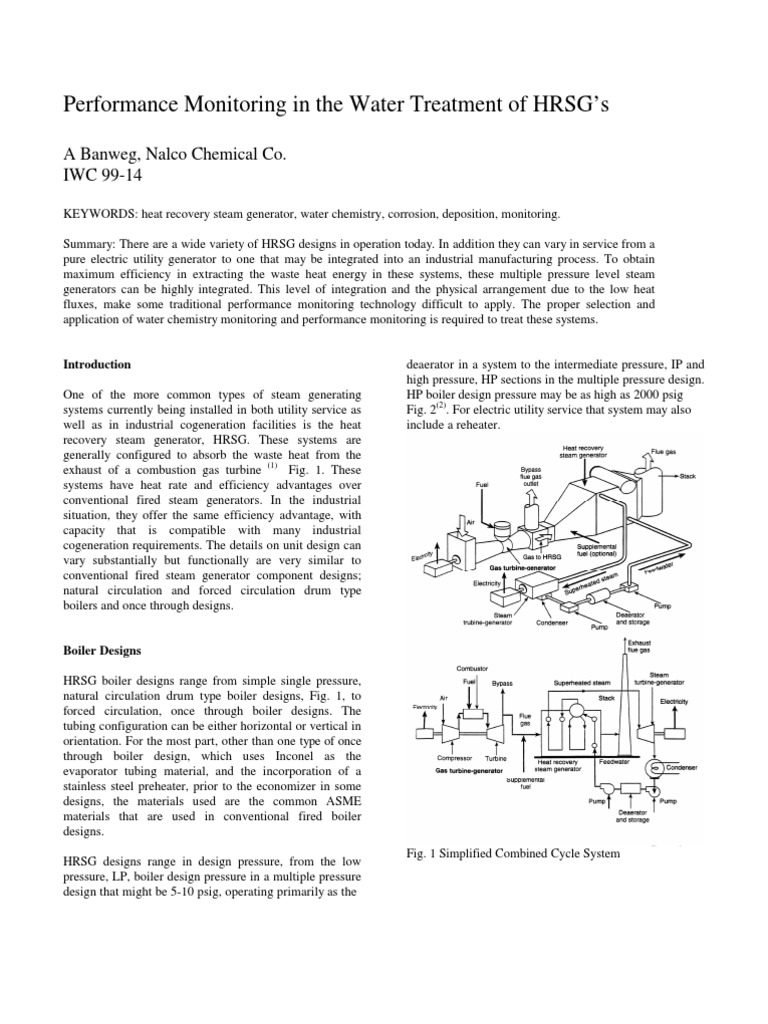 Performance HRSG | PDF | Cogeneration | Boiler