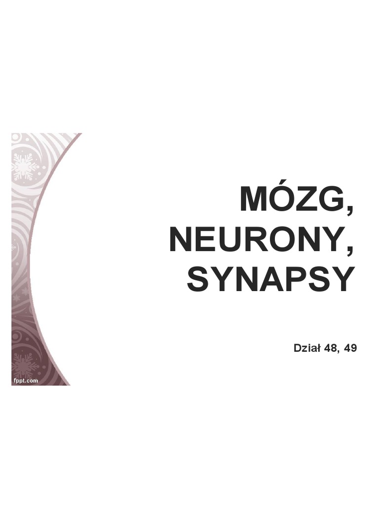Mózg, Neurony,: Synapsy | PDF
