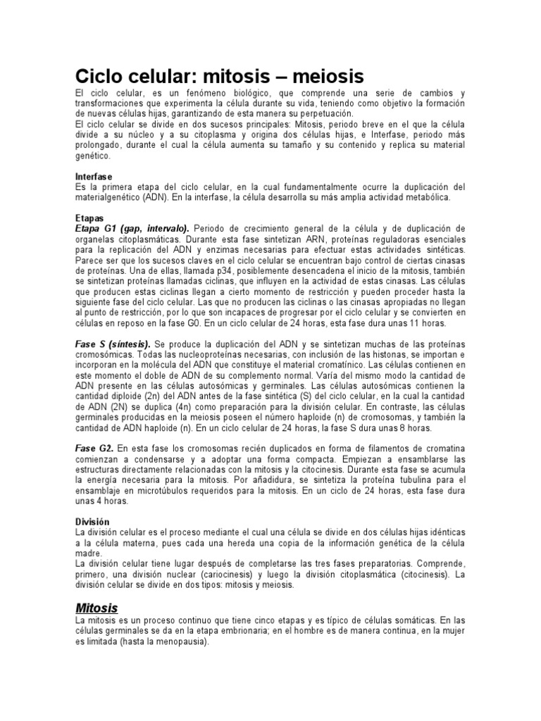 Ciclo Celular: Mitosis y Meiosis Explicados | PDF | Mitosis | Mitosis