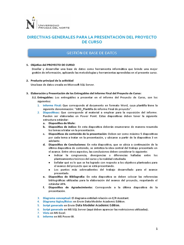 GBD - Directiva de Informe Final de Proyecto | PDF | Bases de datos | Software
