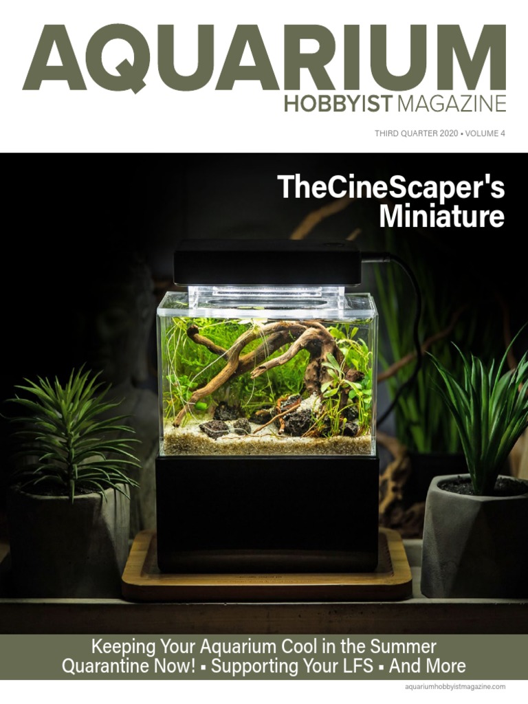 Aquarium Hobbyist 2020 Q3 | PDF | Aquarium | Pond