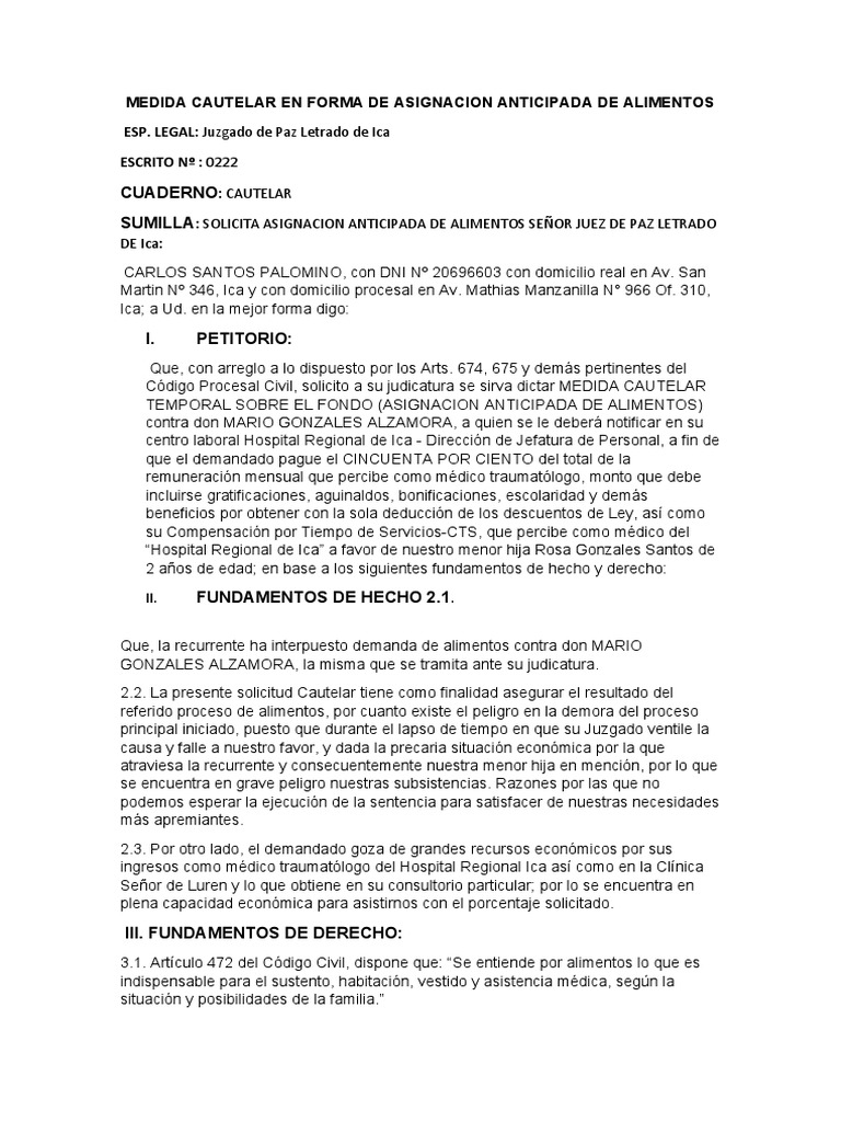 Medida Cautelar en Forma de Asignacion Anticipada de Alimentos | PDF ...