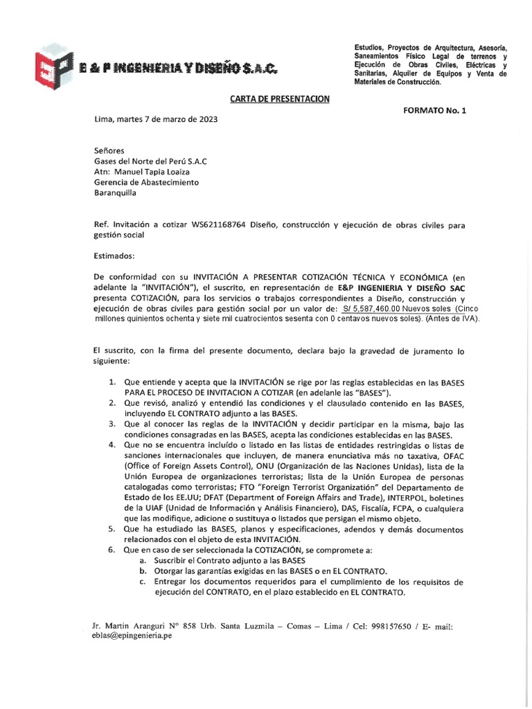 Formato N°1 - EyP | PDF