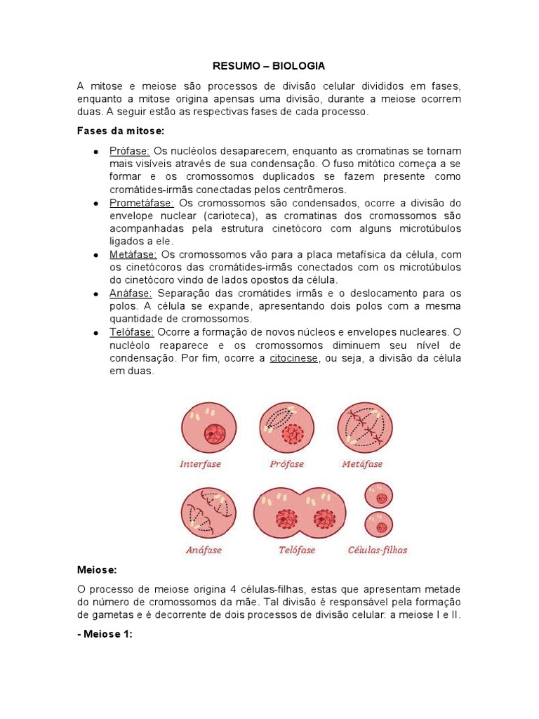 Resumo - Mitose e Meiose | PDF | Meiose | Mitose