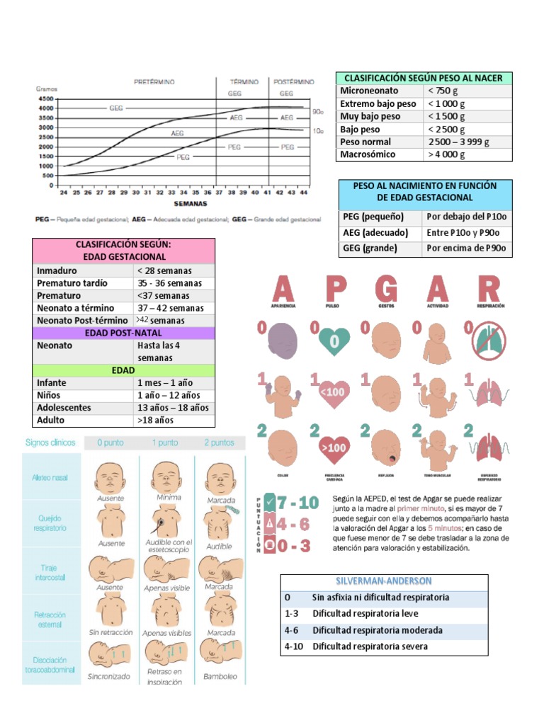 Silverman Anderson | PDF | Parto prematuro | Microbiología