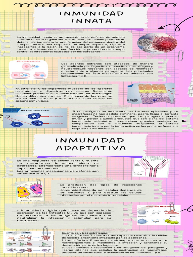 Inmunidad Innata Infografia | PDF | Sistema inmune | Sistema inmune innato