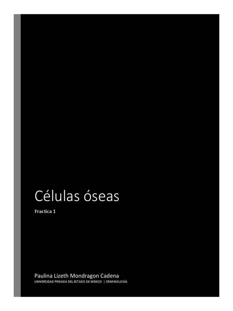 Células Óseas: Paulina Lizeth Mondragon Cadena | PDF