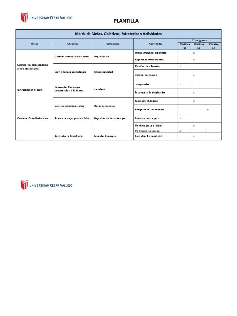Plantilla: Matriz de Metas, Objetivos, Estrategias y Actividades | PDF ...