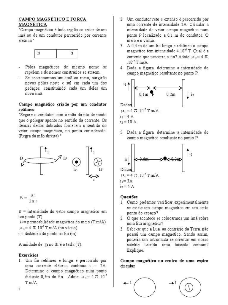 Cálculo do Campo Magnético e Força | PDF | Magnetismo | Campo magnético