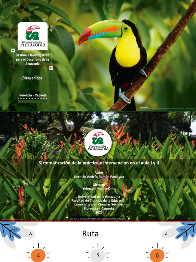 Presentacion Sistematización de La Práctica2 | PDF | Maestros | Experiencia