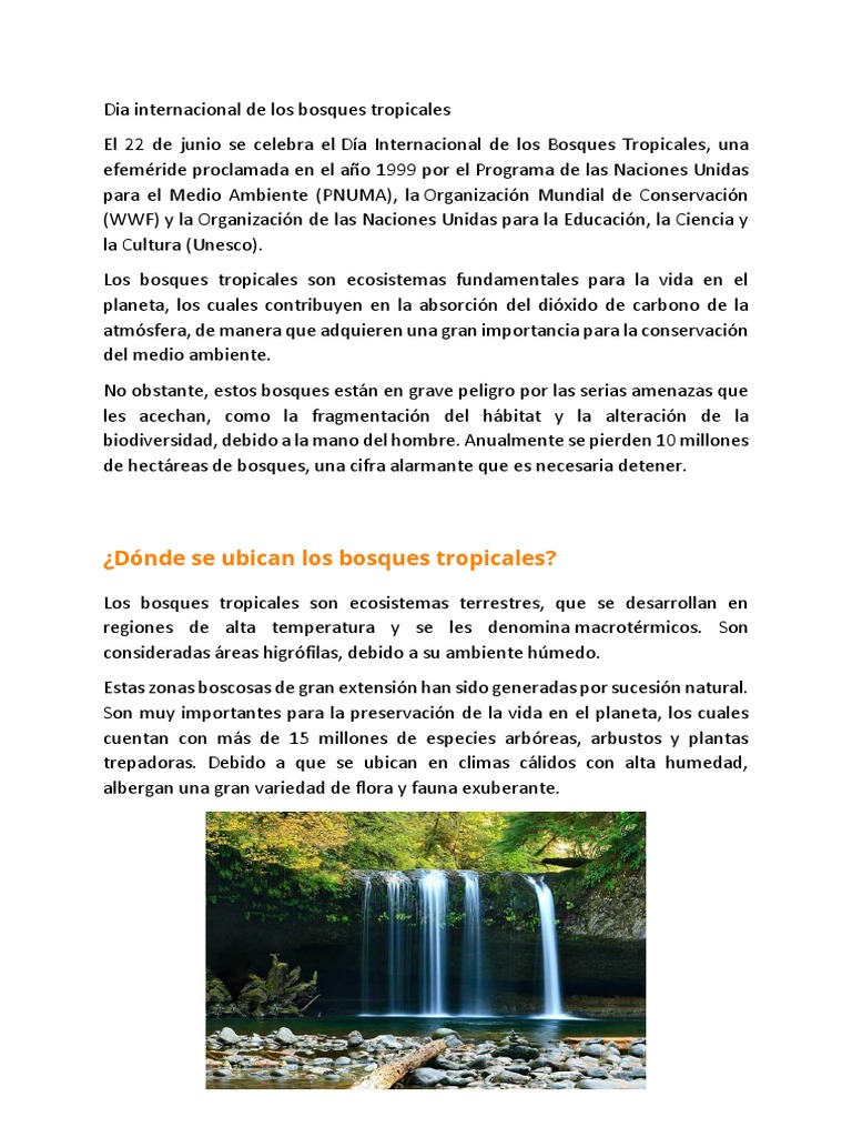 Dia Internacional de Los Bosques Tropicales | PDF