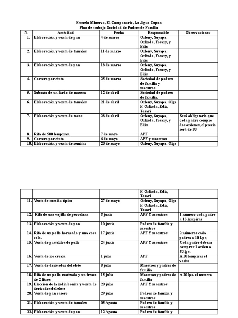 Plan de Trabajp APF | PDF
