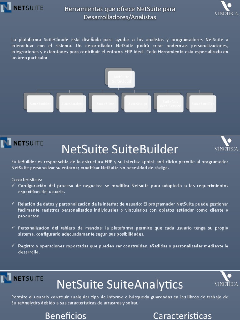 NetSuite SuiteCloud | PDF | Planificación de recursos empresariales ...
